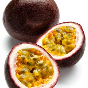 Organic Tropical Body Oil moisturizer 100ml in Miron Glass | Etsy