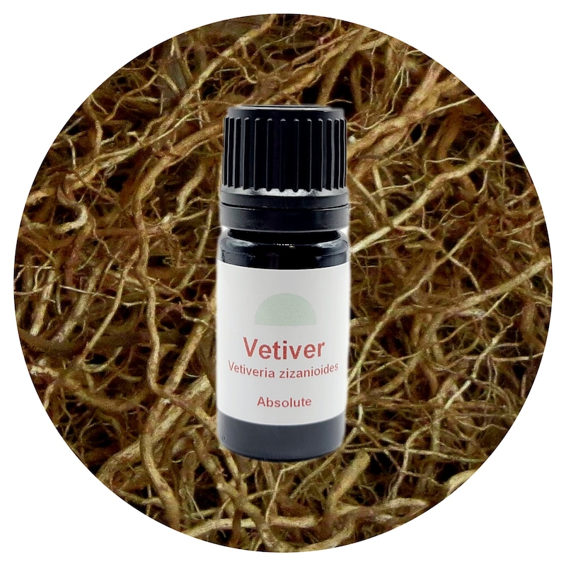 Woody Vétiver Fragrance Oil - Etsy