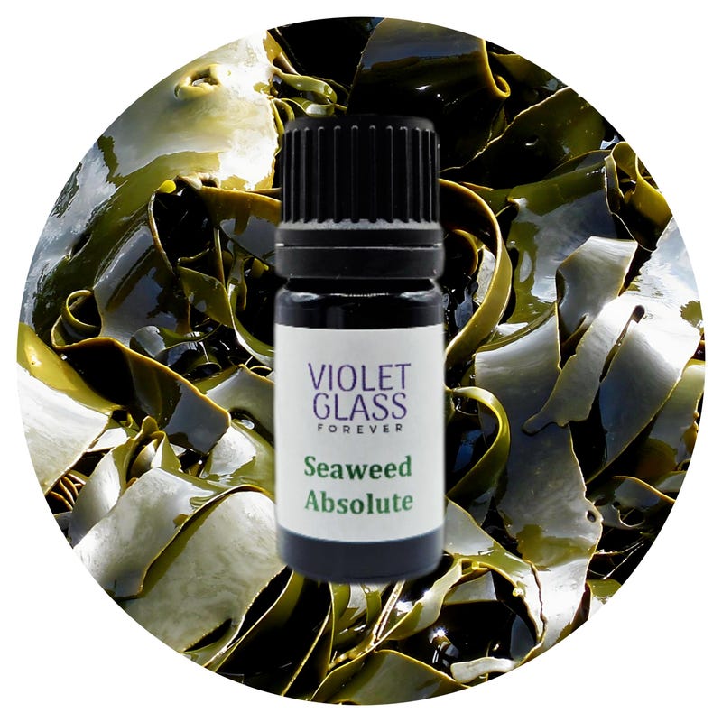 Natural Fragrance Ocean - Etsy