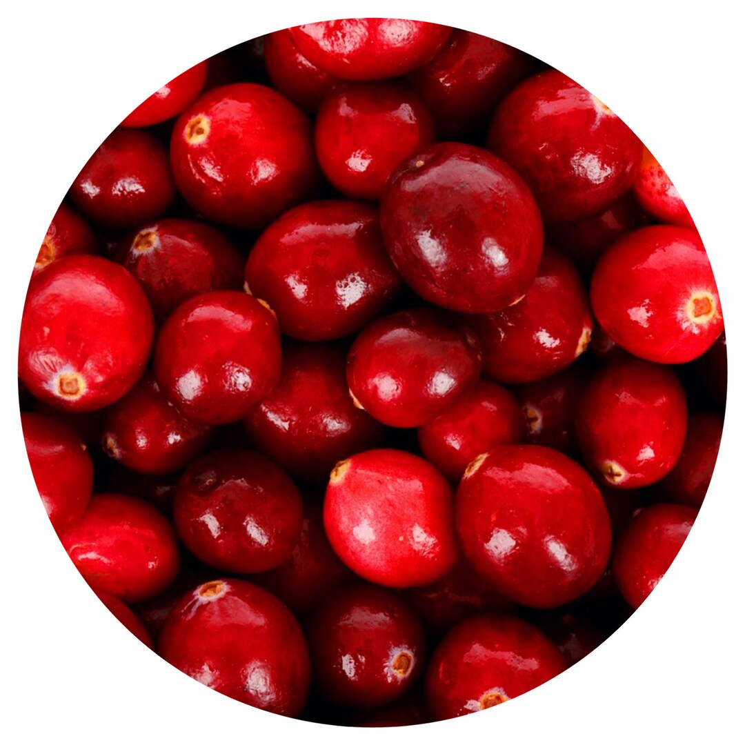Cranberry Seed Oil Organic USA Vaccinium Macrocarpon Cold Pressed High ...