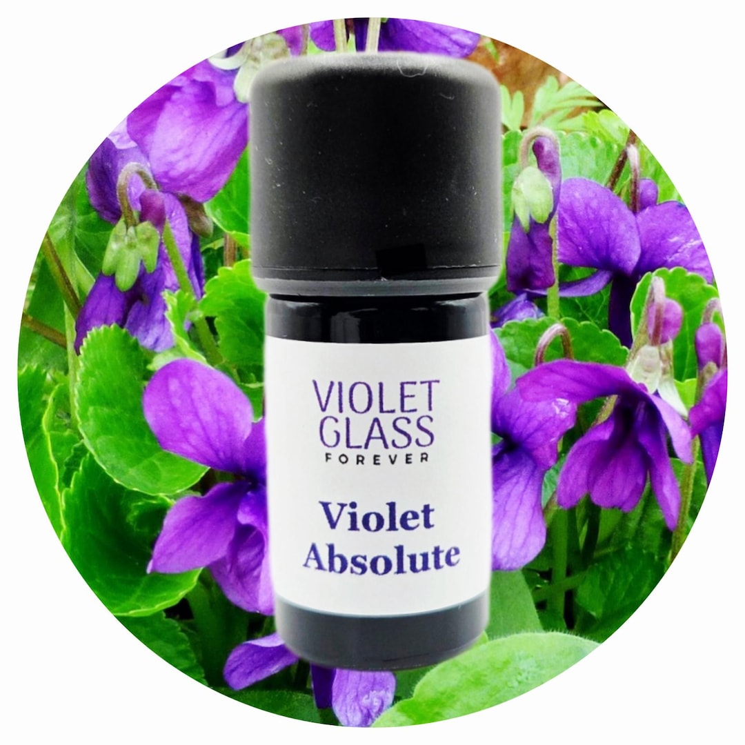 Violet Leaf Absolute Oil Premium France Viola Odorata Perfumery Perfume Fragrance Pure All ...