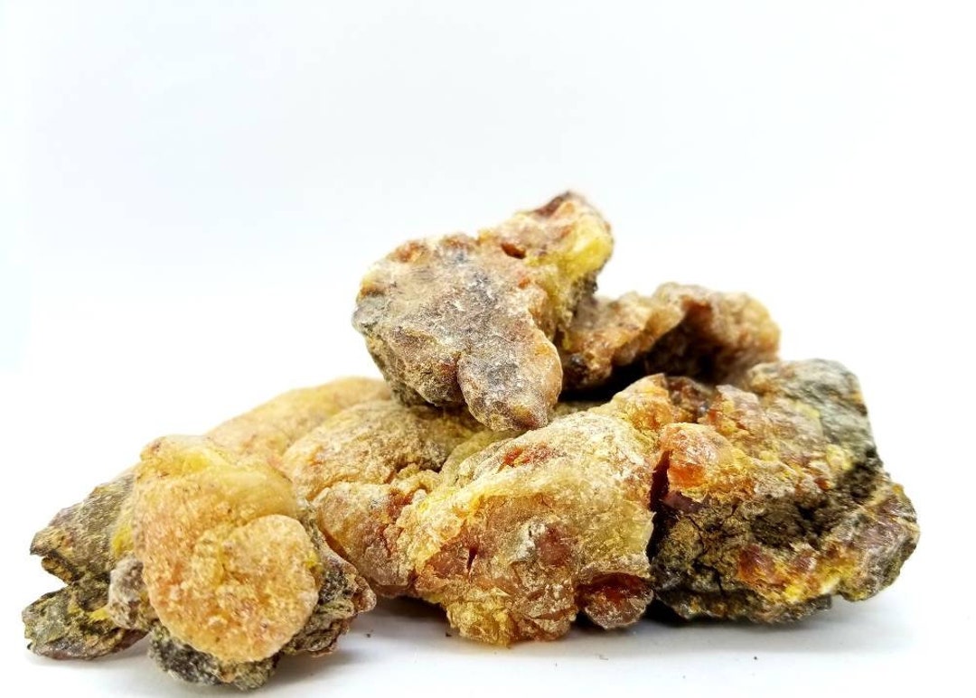 Fresh Pinon Pine Resin Collected From Pristine Locations in the PNW USA ...