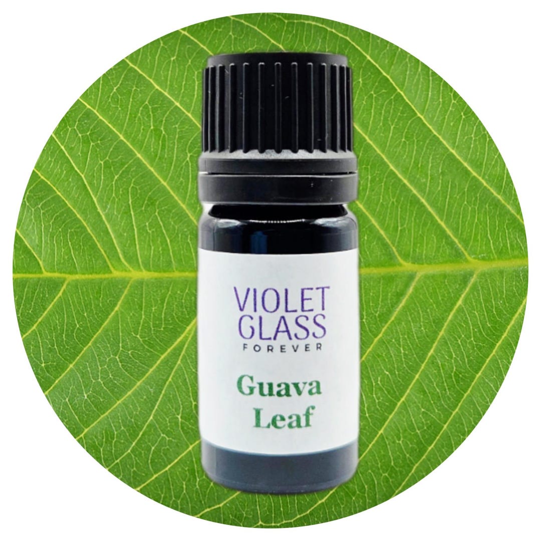 Guava Leaf Essential Oil Organic Psidium Guajava Pure Quality ...