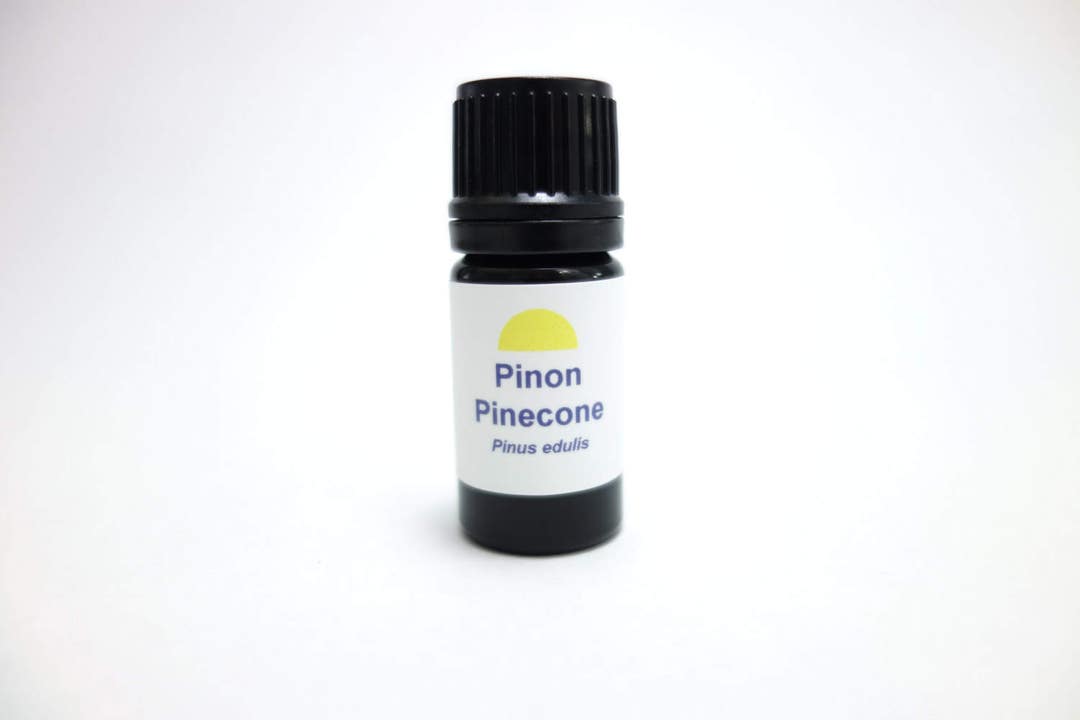 Pinon Pinecone pinus Edulis Infused With Pinus Edulis Resin Wild ...