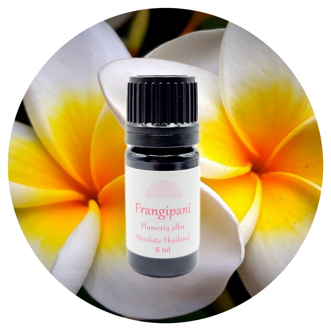 Frangipani Absolute Oil Plumeria Alba Extract Thailand Rare Real ...