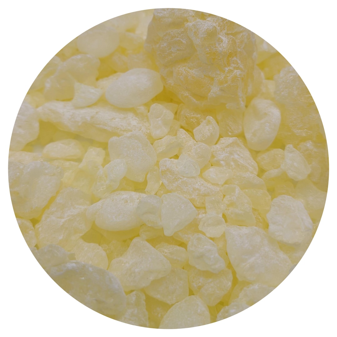 Mastic Essential Oil Pistacia Lentiscus Corsica Aromatherapy Arabic Gum ...