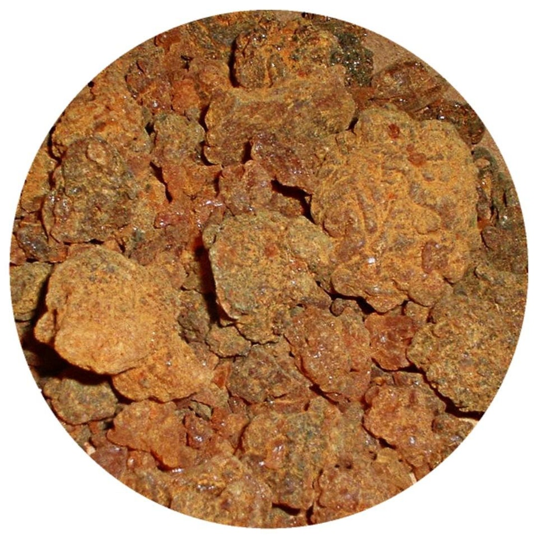 Myrrh Essential Oil Somalia Commiphora Myrrha Wild Pure High Quality - Etsy