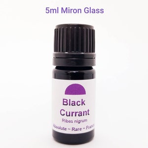 Black Currant Absolute Organic Ribes Nigrum Pure Natural Perfume ...