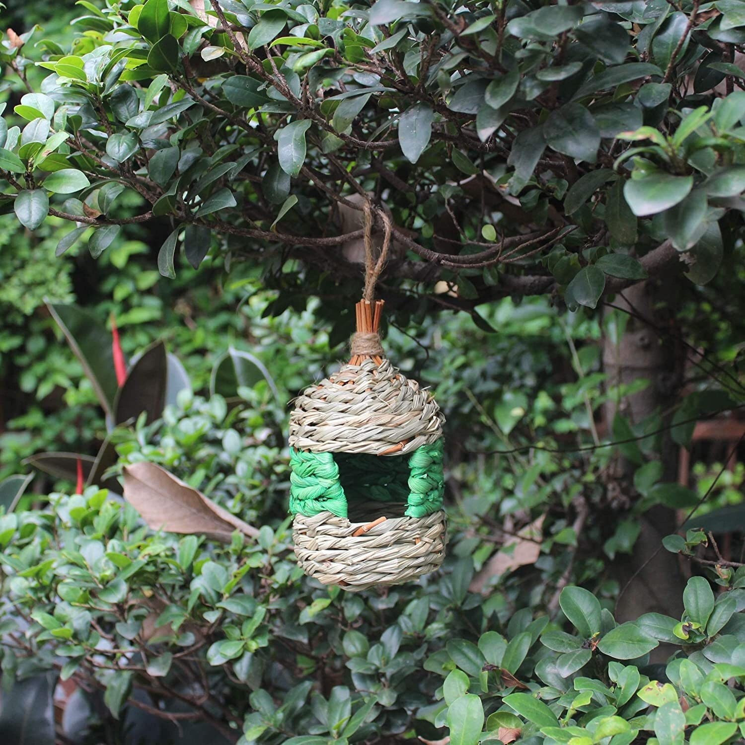 Bird House, Hummingbird House, Woven Bird House for Crafts, Bird Houses ...