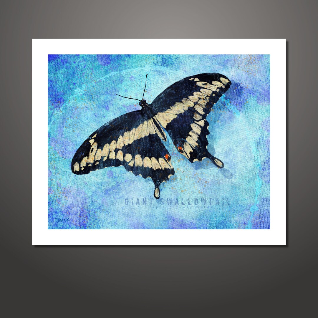 Butterfly Art, Giant Swallowtail, Butterfly Print, Nature Art ...