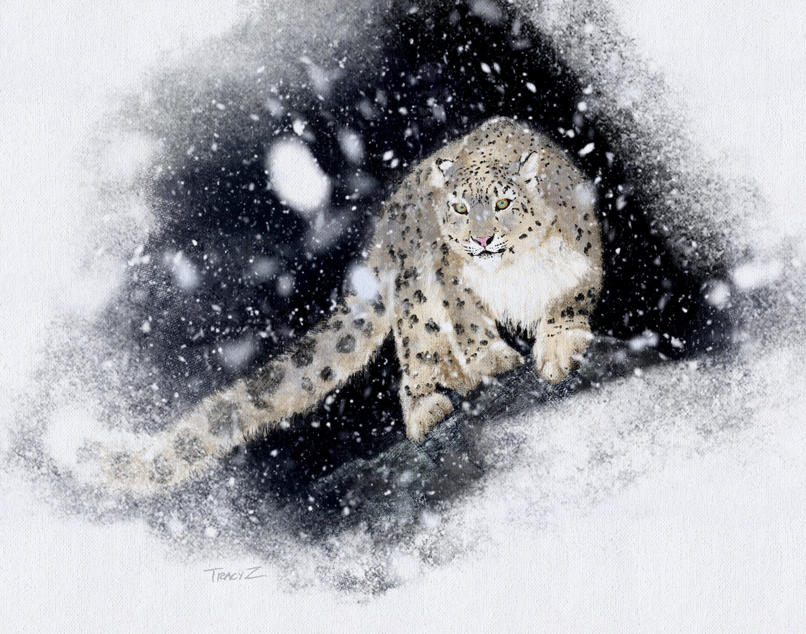 Snow Leopard in Snowfall, Snow Leopard, Leopard, Leopard Print, Leopard ...