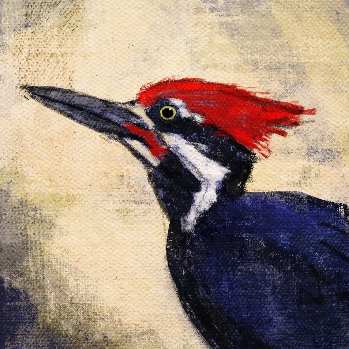 Pileated Woodpecker in Profile / Woodpecker / Painting / Wildlife ...