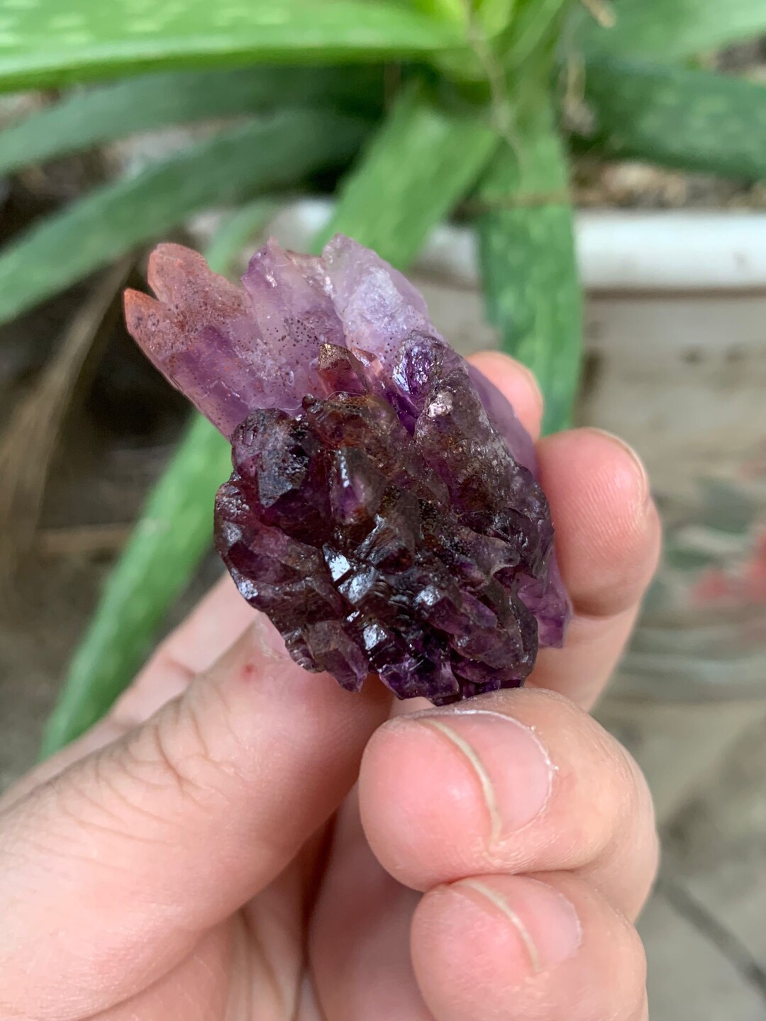 36g Natural Elestial Amethyst/castle Amethyst/secret Scepter Purple ...