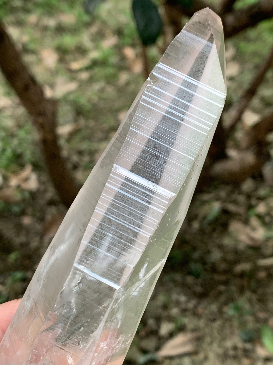 Natural Muzo Clear Lemurian Quartz Wand/super Healing Energy Lemurian ...
