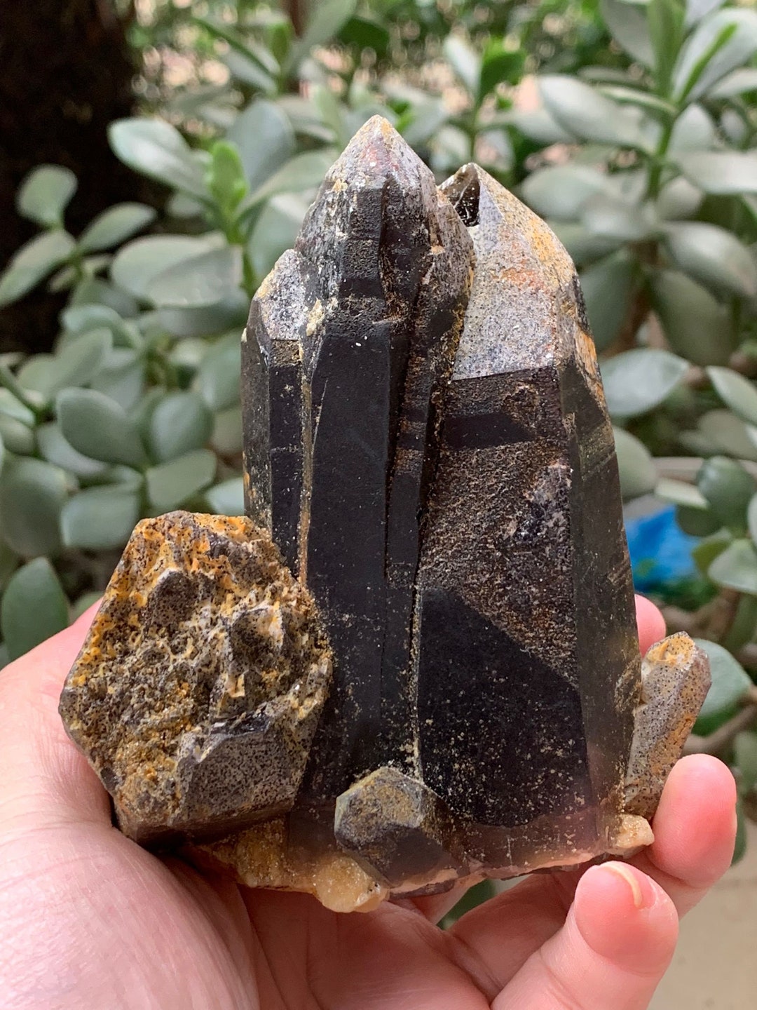 Excellent Natural Black Morion Crystal/mongolian Black Castle Quartz ...