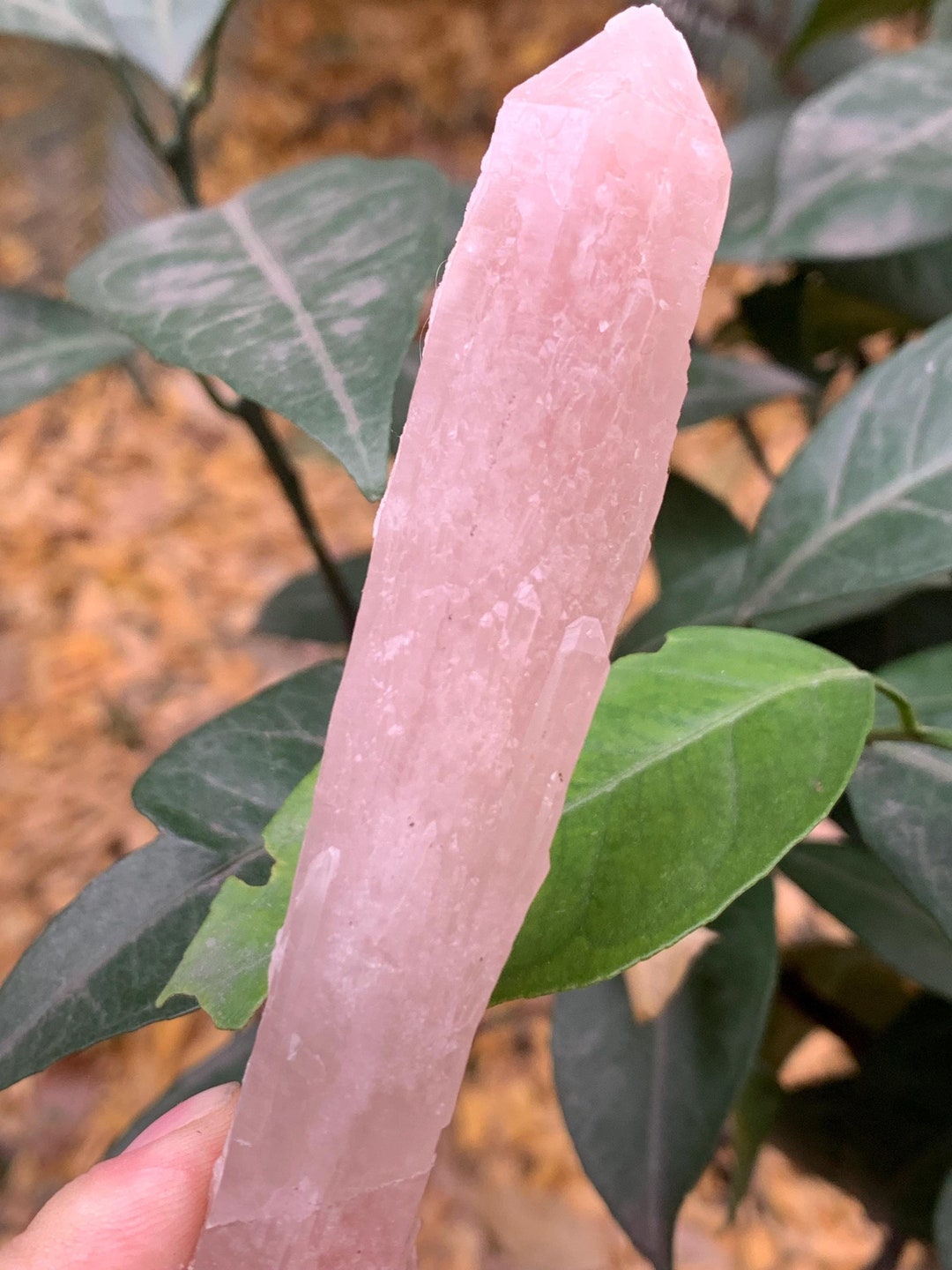 4.48“pink Sugar Blade Quartz/natural Rose Sugar Blade Crystal/sugar ...