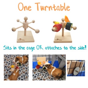 Turntable Enrichment Toy for Guinea Pigs, Rats, Birds, and Other Small ...
