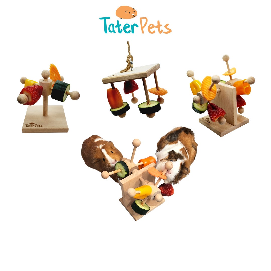Turntable Enrichment Toy for Guinea Pigs, Rats, Birds, and Other Small ...