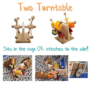 Turntable Enrichment Toy for Guinea Pigs, Rats, Birds, and Other Small ...