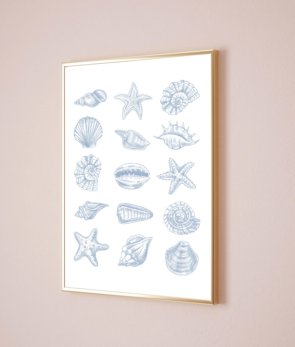 Light Blue Seashells Coastal Beach House Preppy Print Seafood Pastel ...