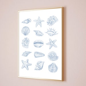 Light Blue Seashells Coastal Beach House Preppy Print Seafood Pastel ...