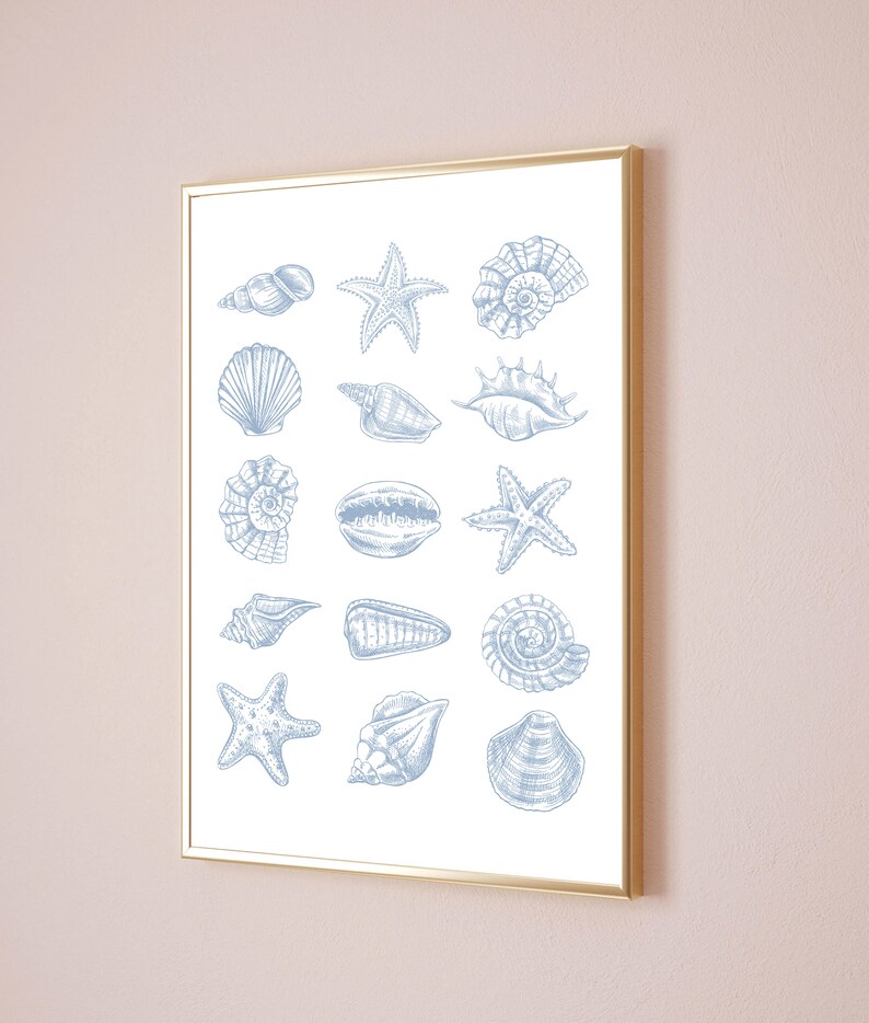 Light Blue Seashells Coastal Beach House Preppy Print Seafood Pastel ...