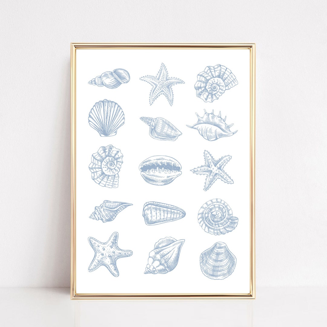 Light Blue Seashells Coastal Beach House Preppy Print Seafood Pastel ...