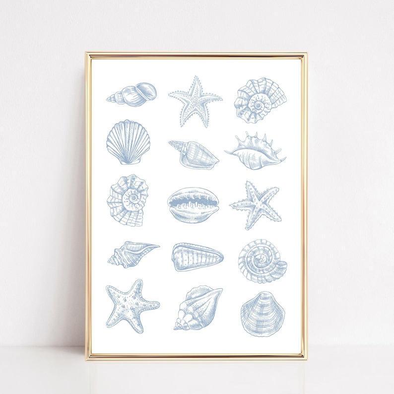 Light Blue Seashells Coastal Beach House Preppy Print Seafood Pastel ...