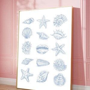 Light Blue Seashells Coastal Beach House Preppy Print Seafood Pastel ...