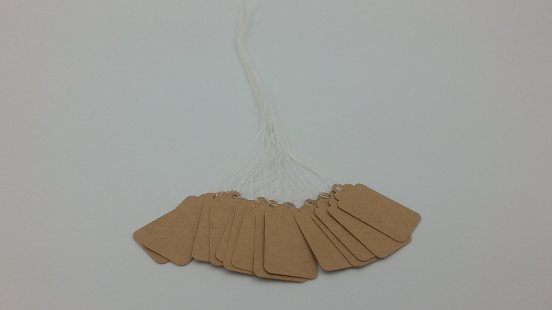 Mini Jewelry Tags, 100 Count, String Included, Mini Kraft Tags, Price ...