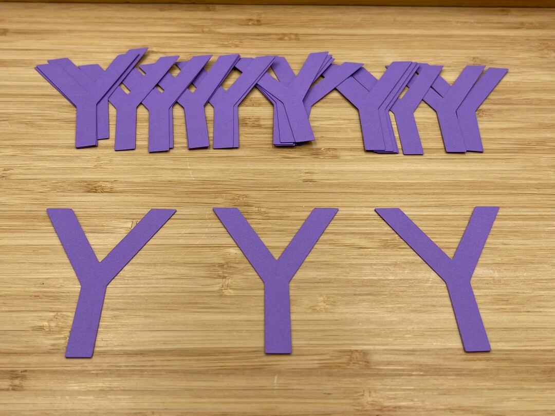 Letter Y Die Cuts, 25 Pieces, Letter Y Cut Outs, Letter Die Cuts ...