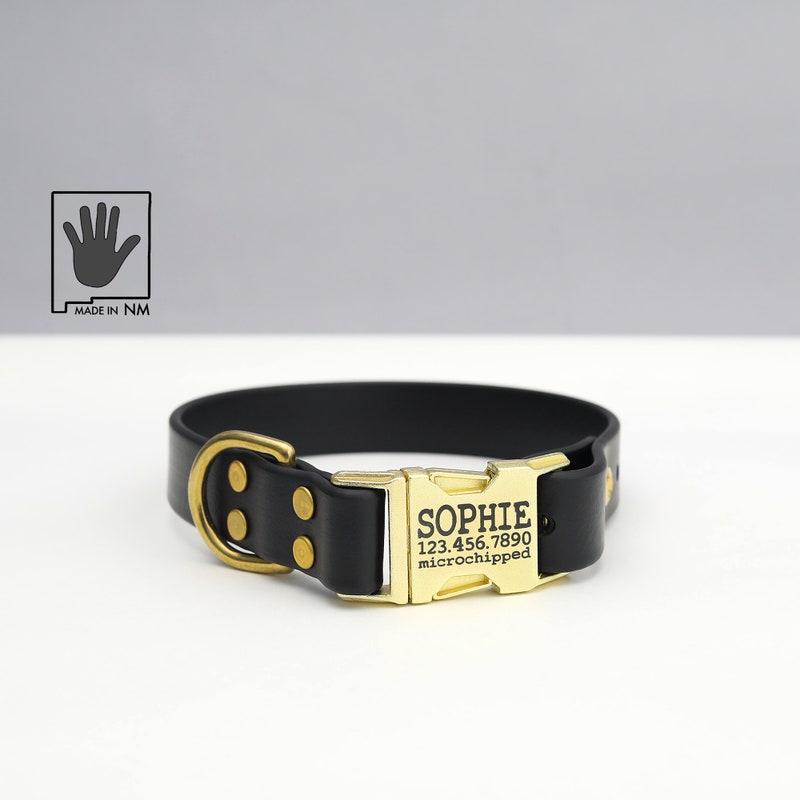 Hunting Dog Collars - Etsy