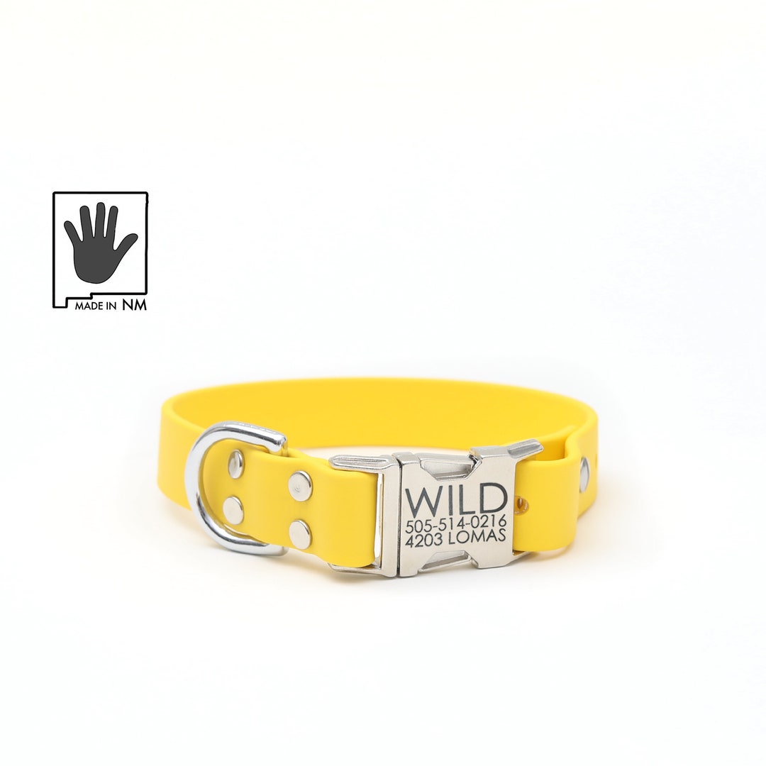 Personalized Waterproof Quick Release Dog Collar in Limon (yellow ...