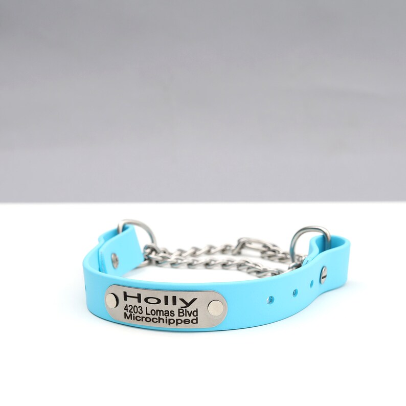 Cloud Blue Personalized Waterproof Martingale Collar | Biothane Dog ...