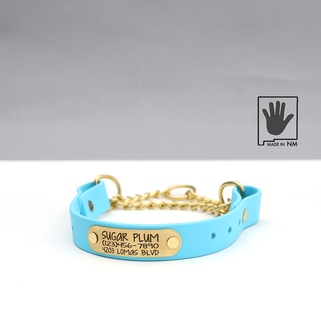 Cloud Blue Personalized Waterproof Martingale Collar | Biothane Dog ...