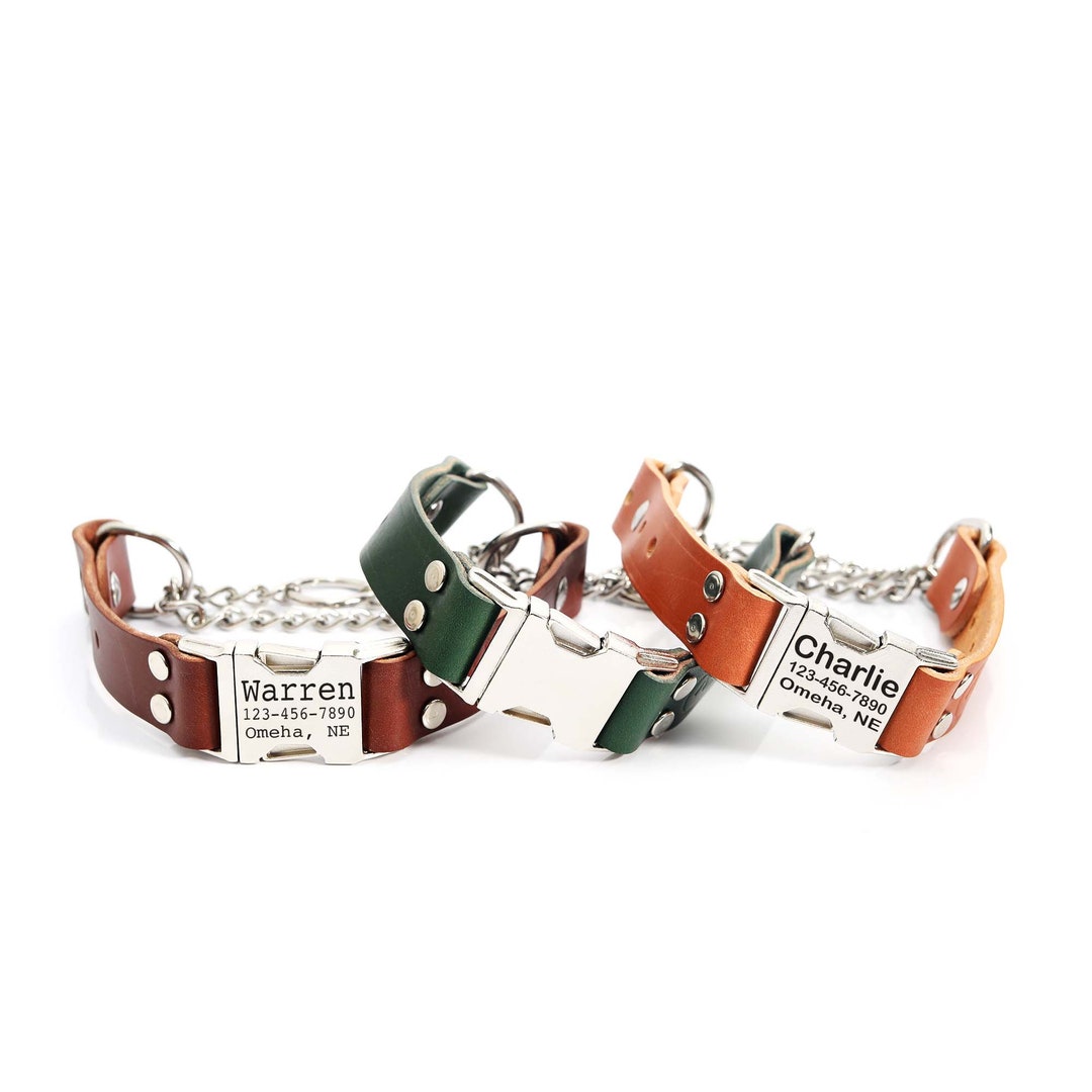 Leather Side Release Chain Martingale Dog Collar With Engraved Buckle ...