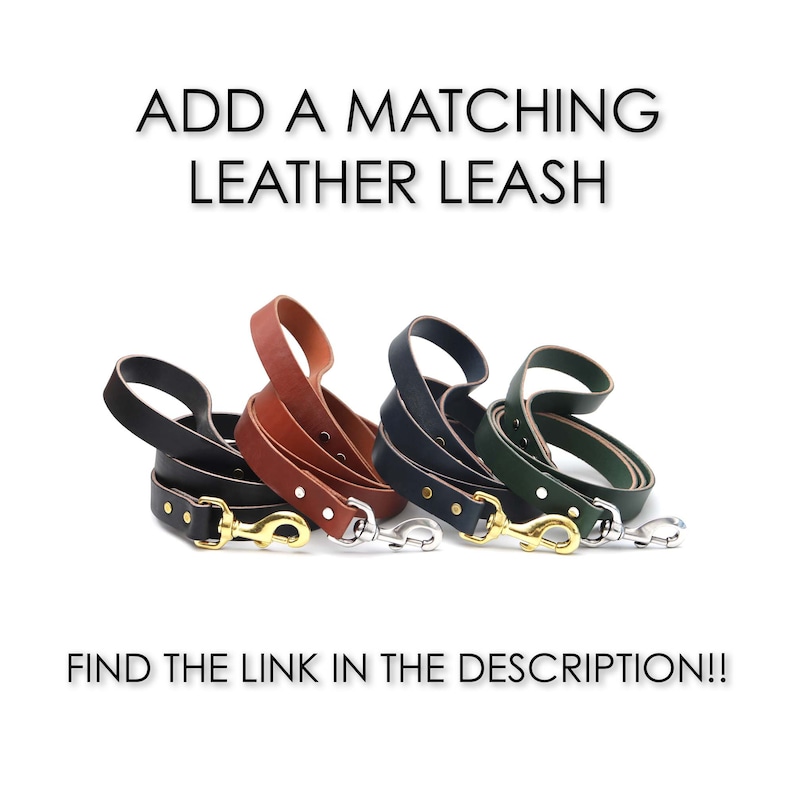 Leather Side Release Chain Martingale Dog Collar With Engraved Buckle ...