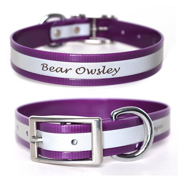 Purple Dog Collar - Etsy