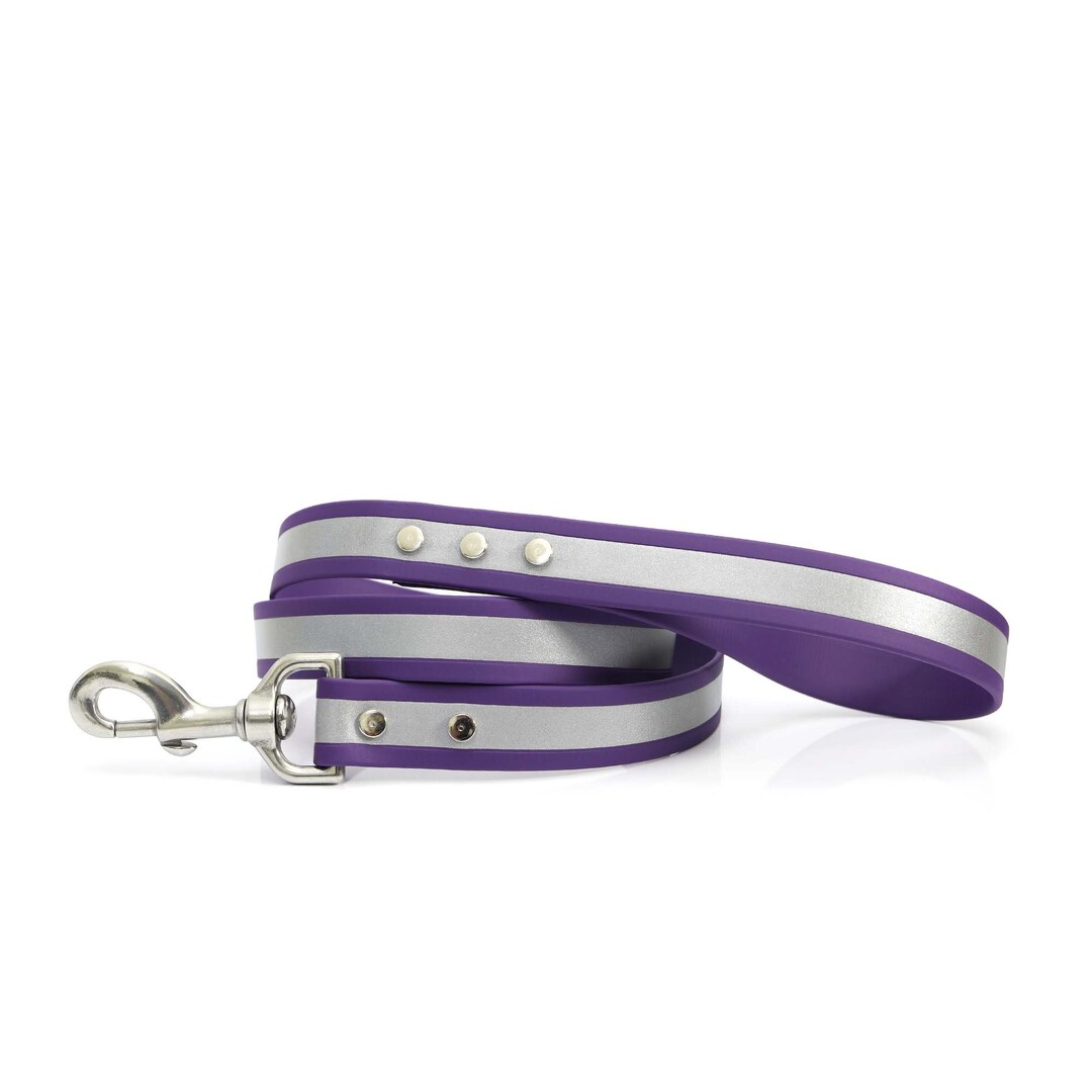 Purple Matte Reflective Waterproof Dog Leash -- Purple Smell Resistant ...