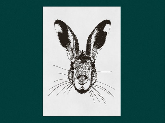 Poster / Rabbit / Art Print / A3 Poster | Etsy