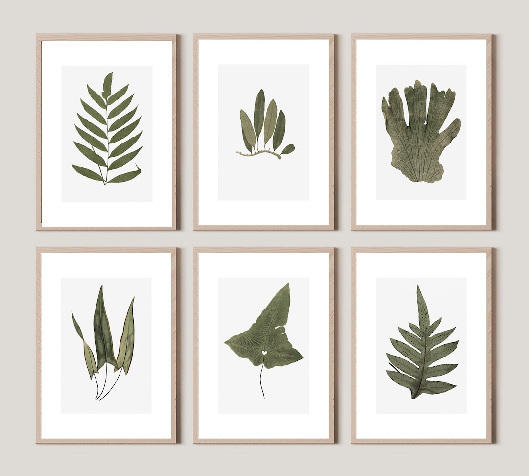 Botanical Wall Art, Botanical Prints, Set of 6 Prints, Green Gallery ...
