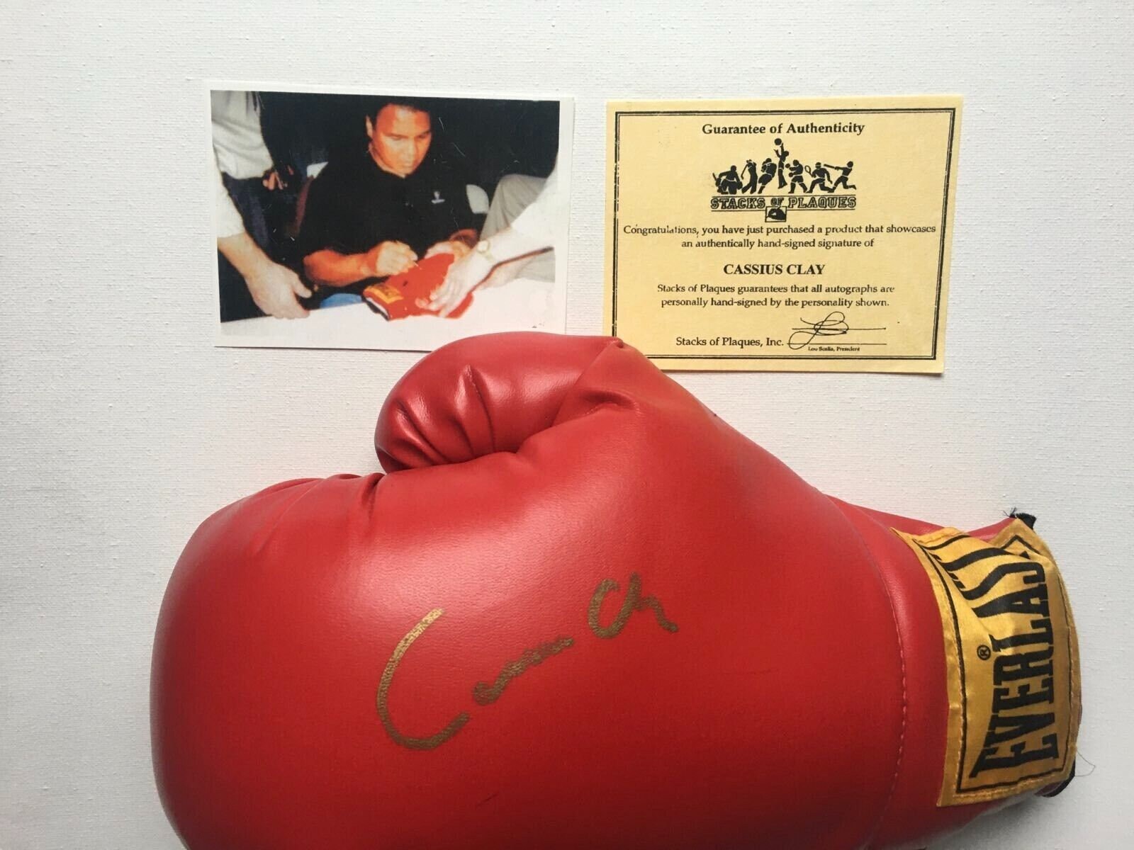 Muhammad Ali Aka Cassius Clay Autographed Hand Signed Boxing Everlast ...