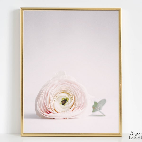 Ranunculus - Etsy