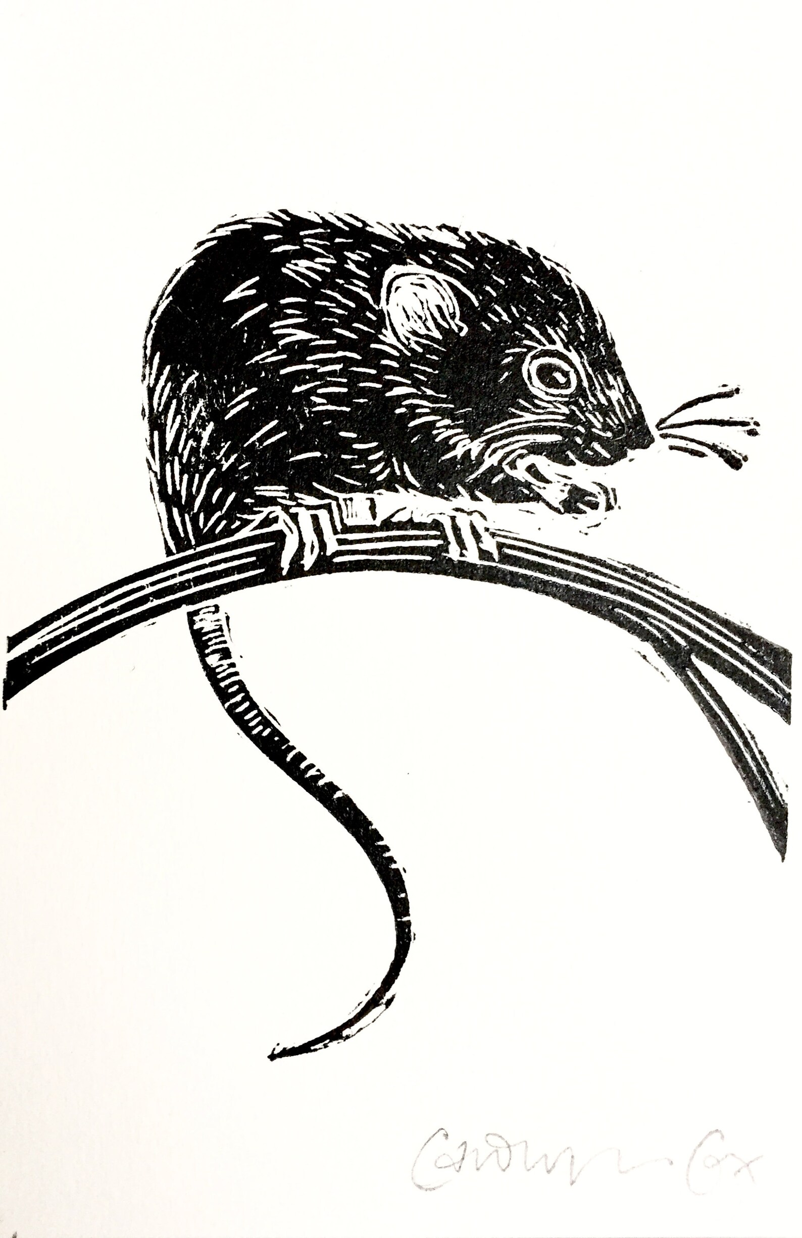 Little Mouse Linocut Mini Print - Etsy