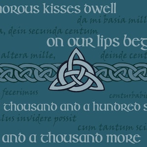 Outlander Scarf // Catullus Poem // Da Mi Basia Mille / Blue - Etsy