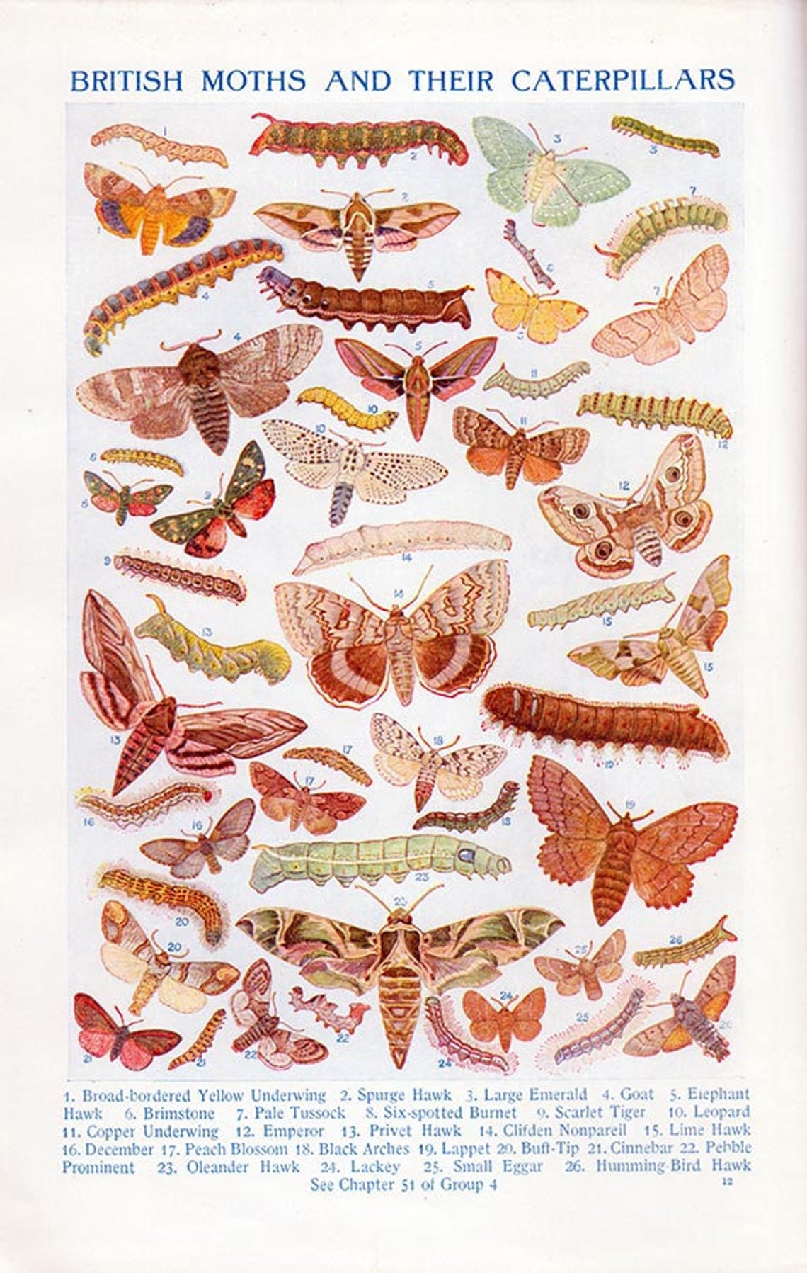 Set of Three Vintage Caterpillar Charts - Etsy