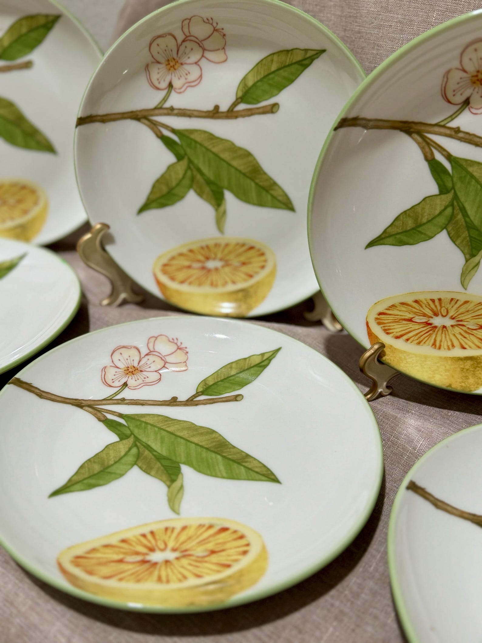 222 Fifth Frutta Lemon Plates Salad Plates Lemon Slice Branch With ...