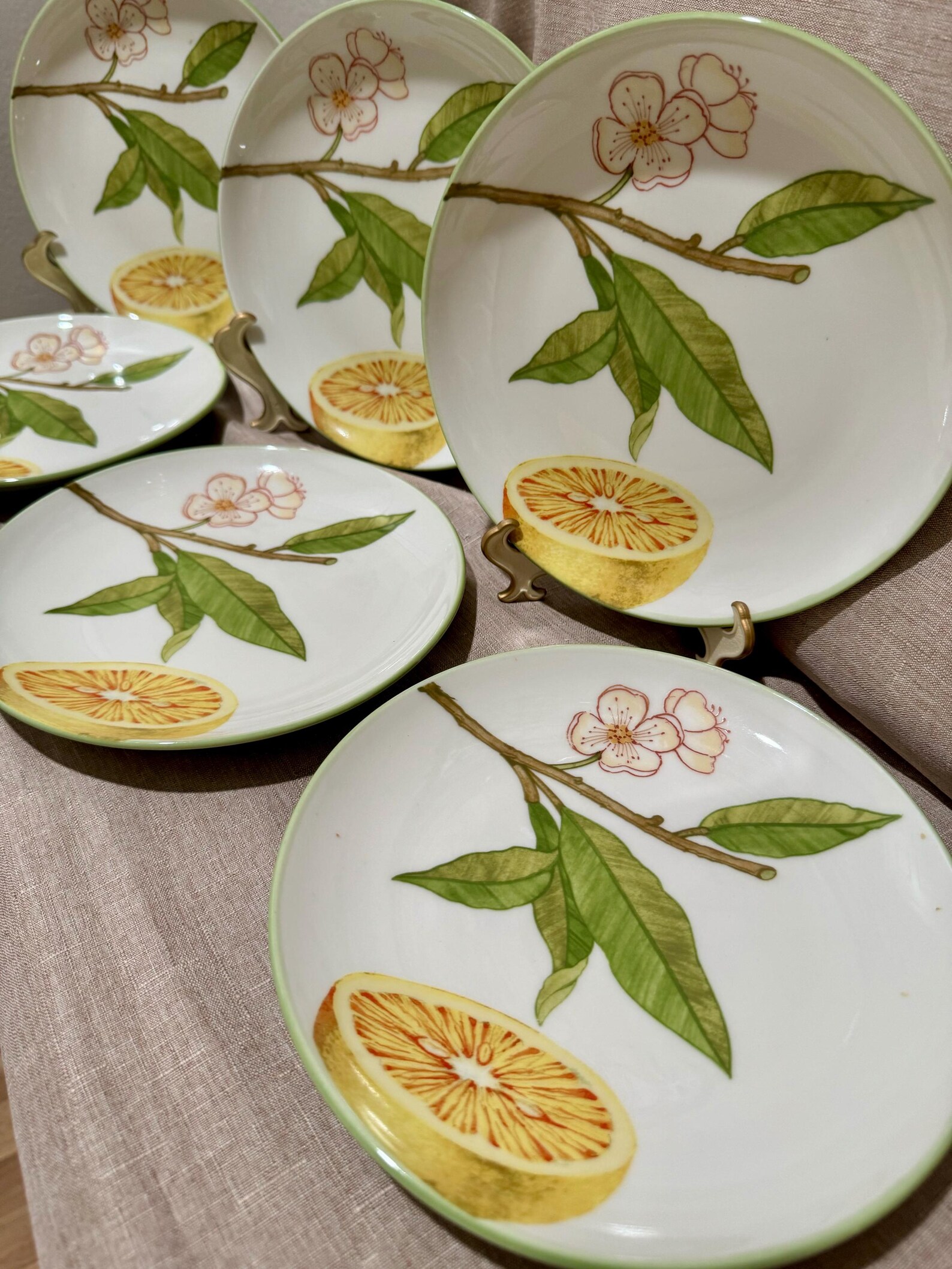 222 Fifth Frutta Lemon Plates Salad Plates Lemon Slice Branch With ...