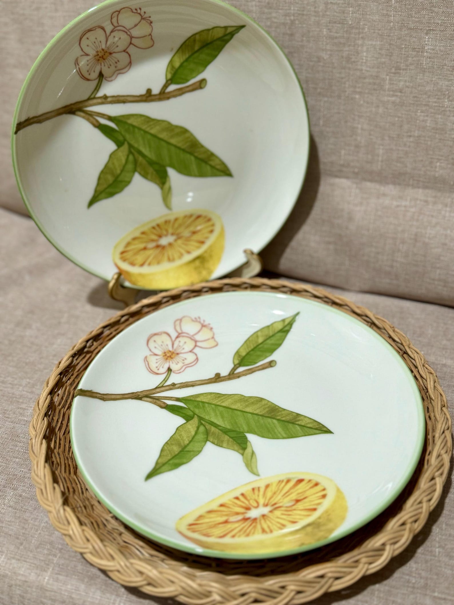 222 Fifth Frutta Lemon Plates Salad Plates Lemon Slice Branch With ...