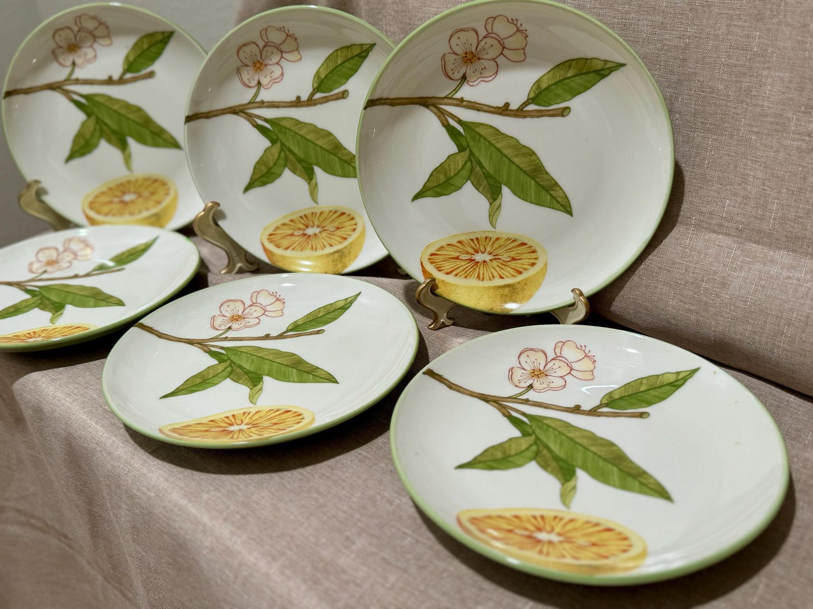 222 Fifth Frutta Lemon Plates Salad Plates Lemon Slice Branch With ...
